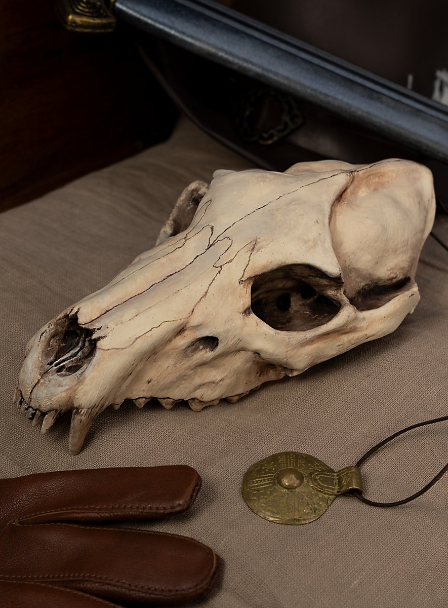 Crâne d'loup imprimé en 3D à peindre soi-même (25cm) - maskworld.com