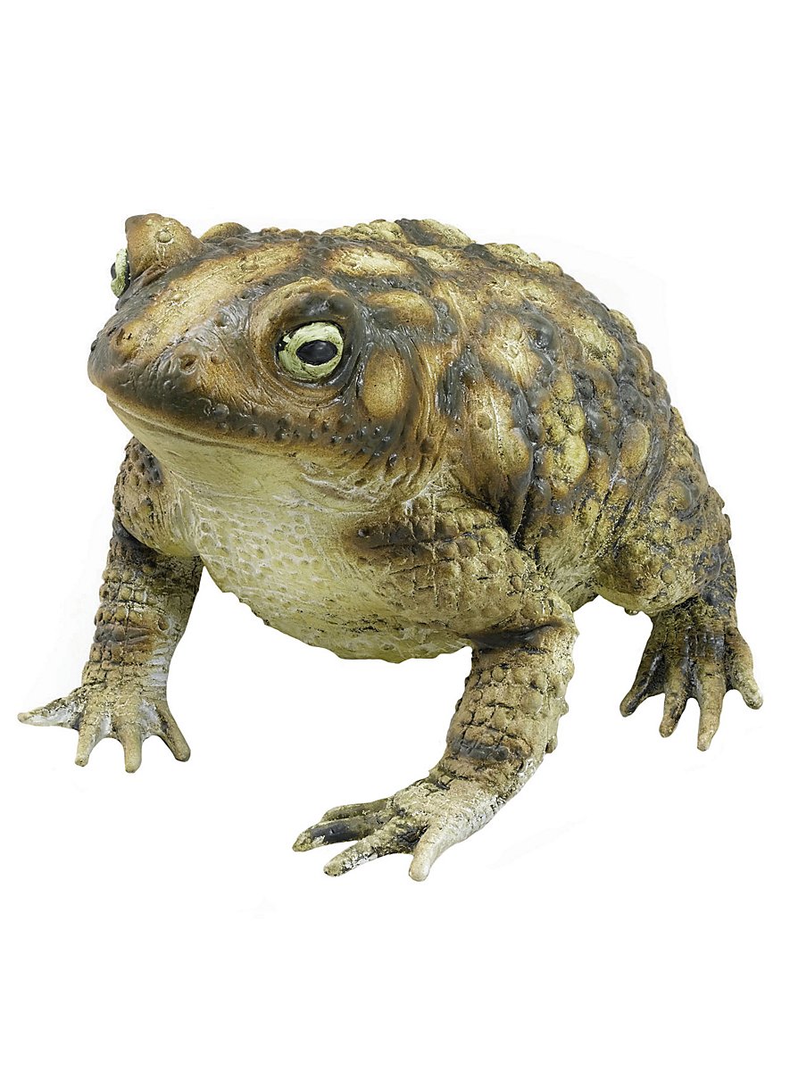 Crapaud en plastique Halloween Deko - maskworld.com