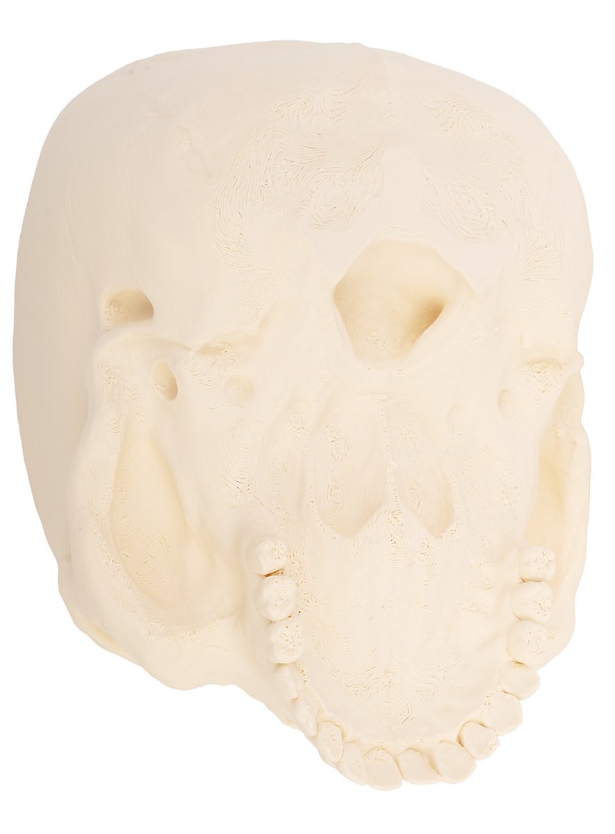 Impression 3D - Crâne humain à peindre - maskworld.com