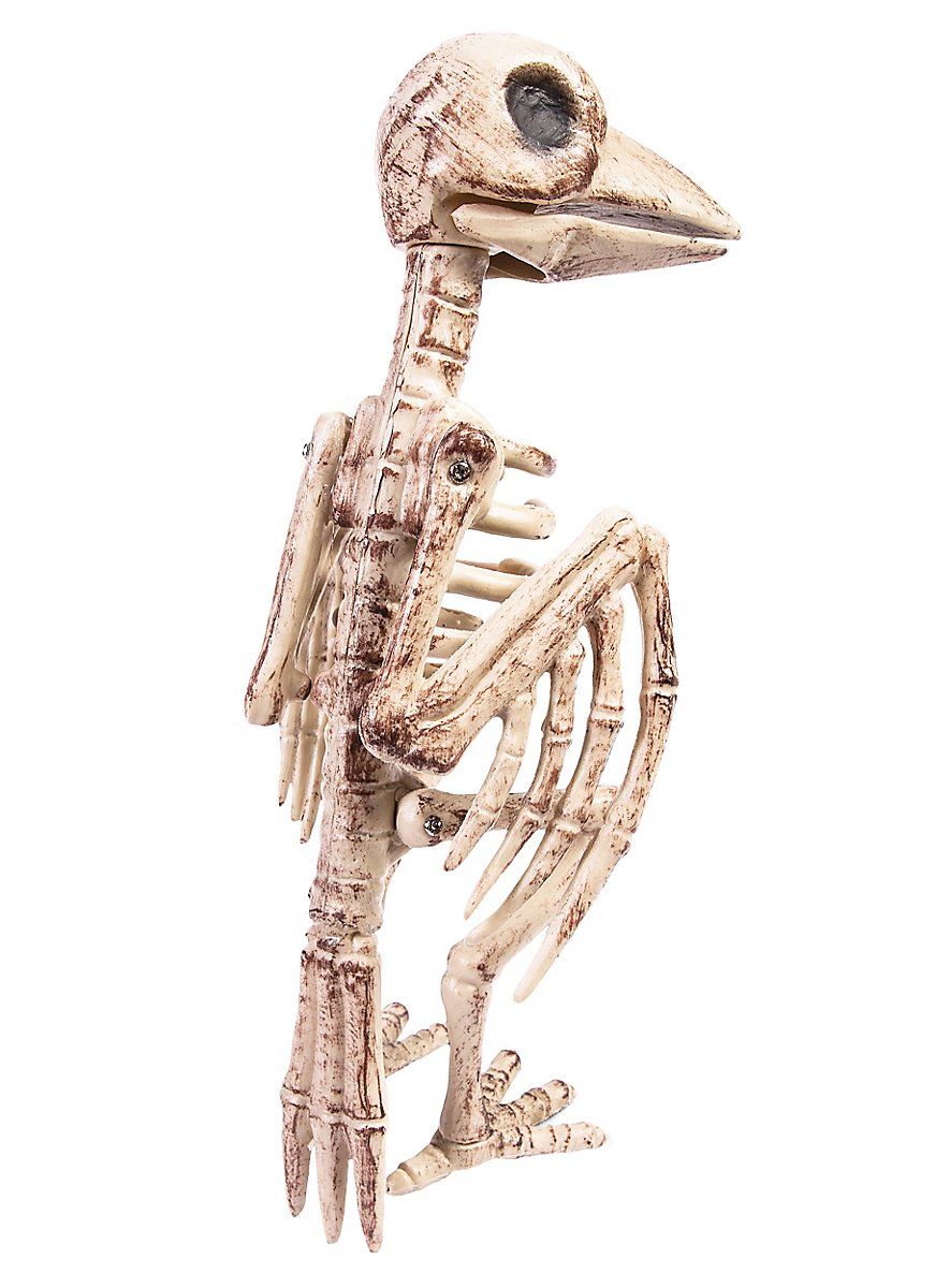 Scheletro di uccello decorazione di Halloween ★ maskworld.com ...
