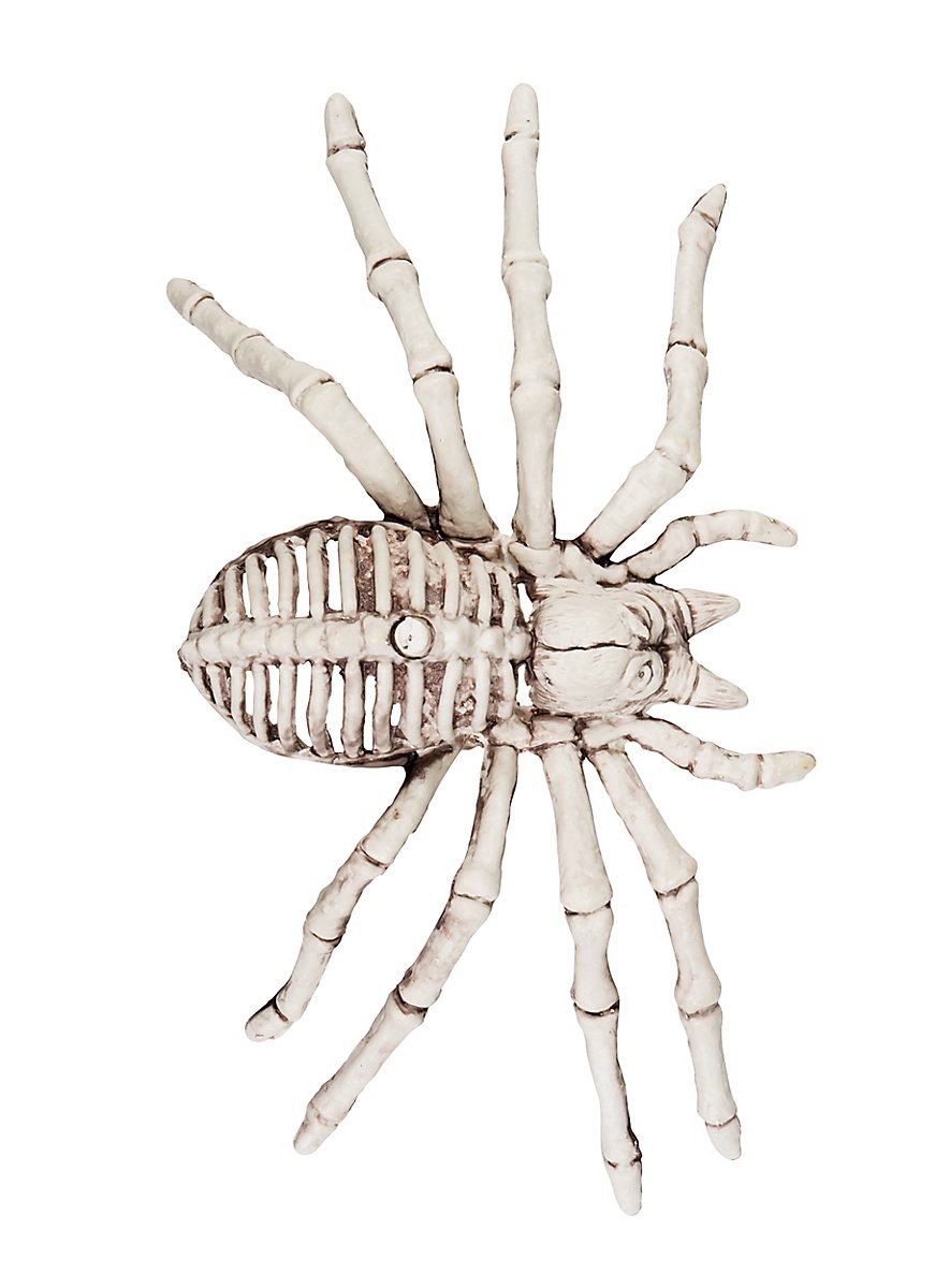 Spider Skeleton Halloween Deco - maskworld.com